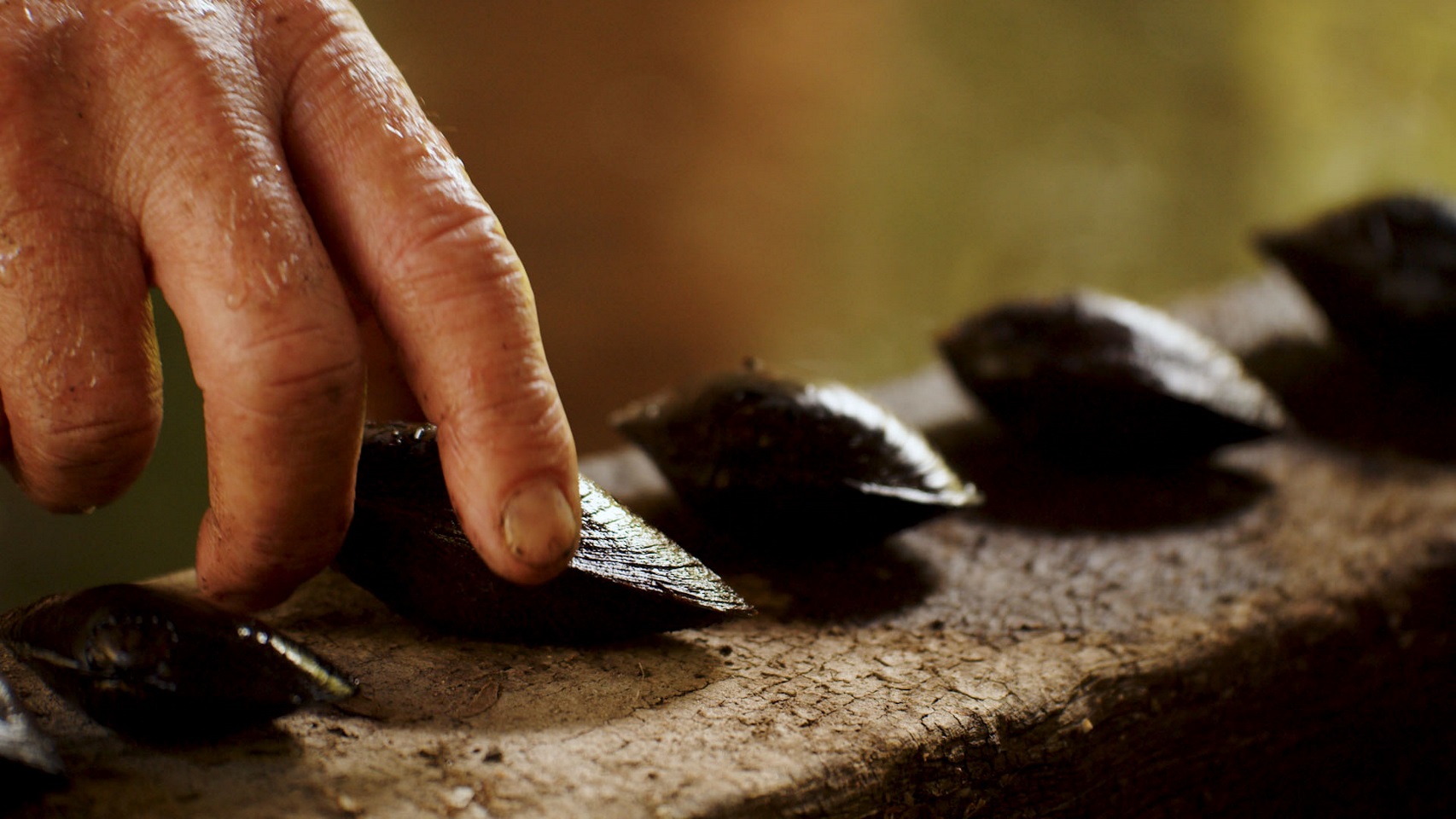 Water monitoring using mussels