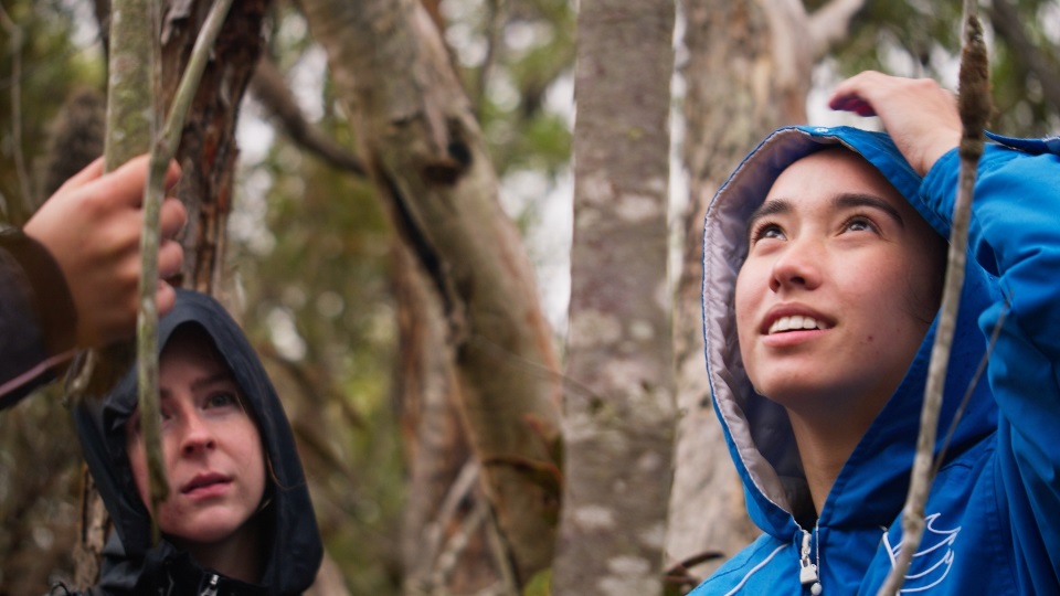 Teaching in nature’s classroom